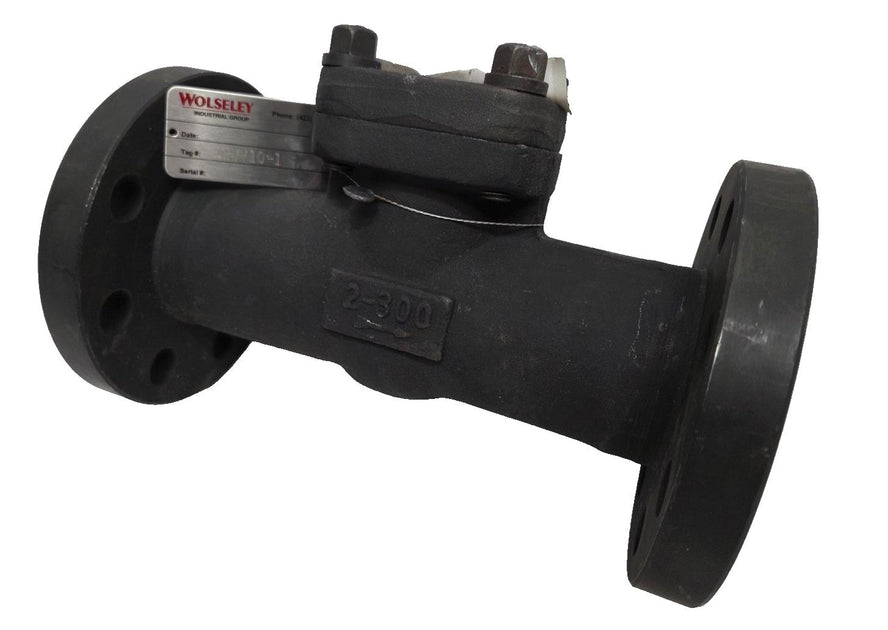 Warren 2" DN50 Forged C Steel Swing Check Valve, Flanged, CL300 RF, P0 ...